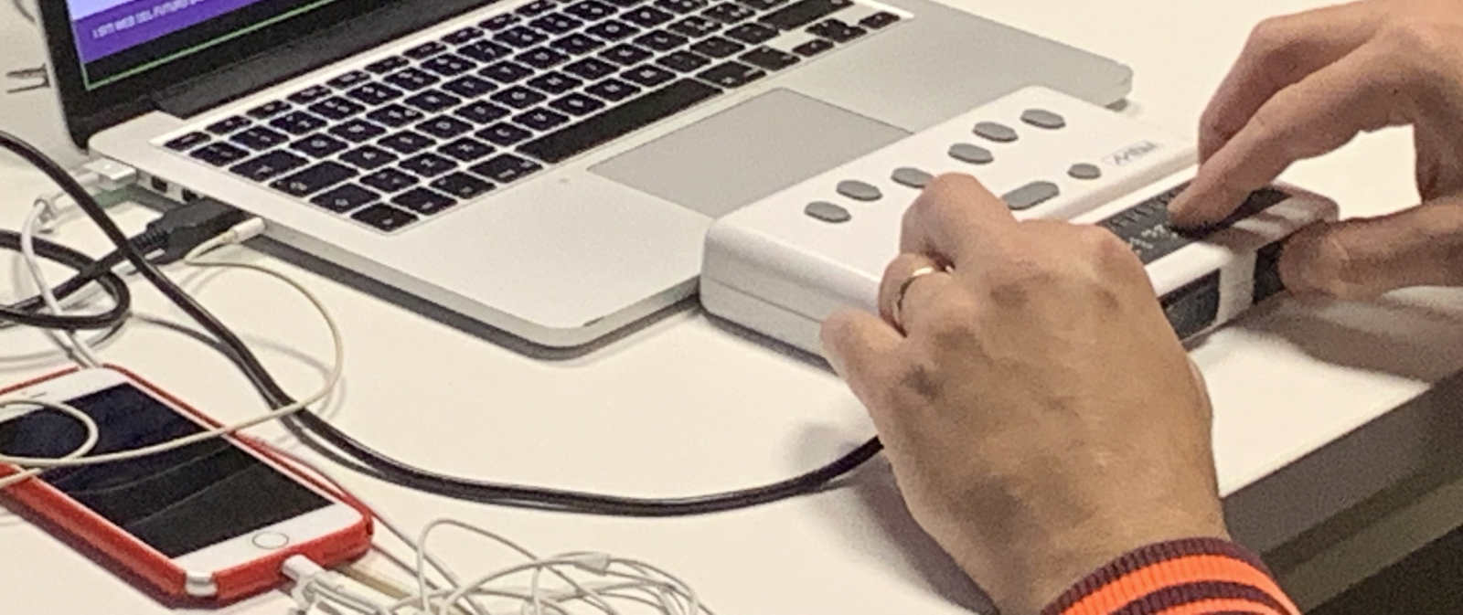 Indagine sull'uso dello screen reader - Siti Accessibili